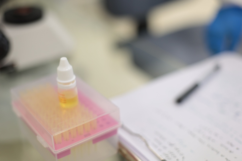 Challenge Test (para Cosméticos con conservantes) | Alpiguisa Innovacion