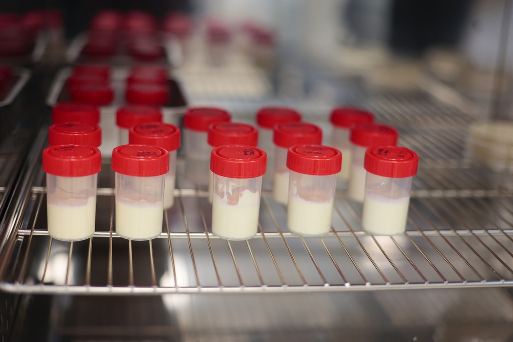 Challenge Test (para Cosméticos con conservantes) | Alpiguisa Innovacion